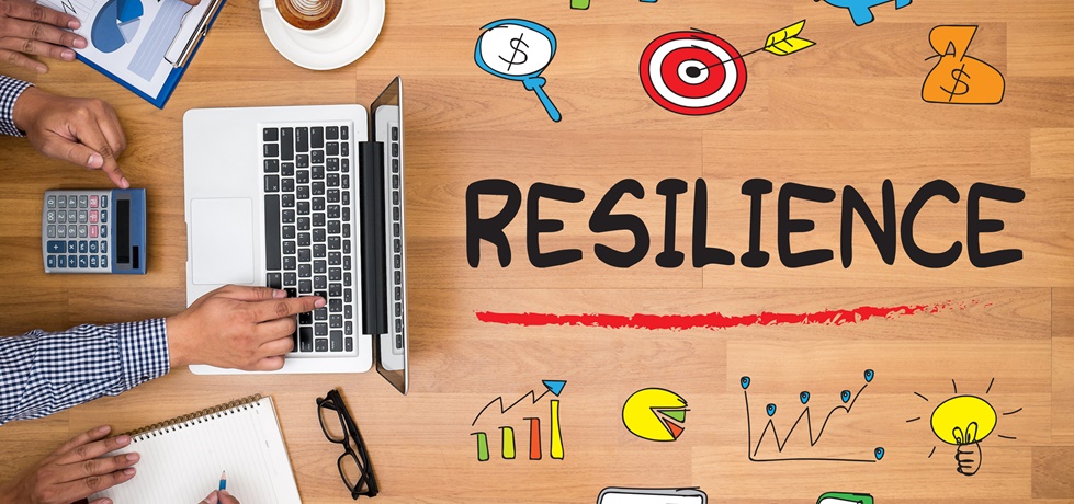 Significado de Resiliência e Como ela se Aplica no Meio Profissional ...