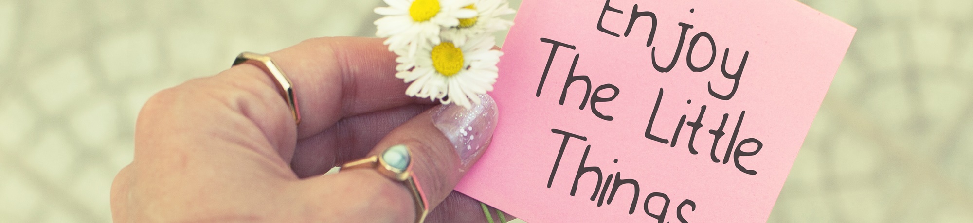 O Prazer das Coisas Simples - JRM Coaching